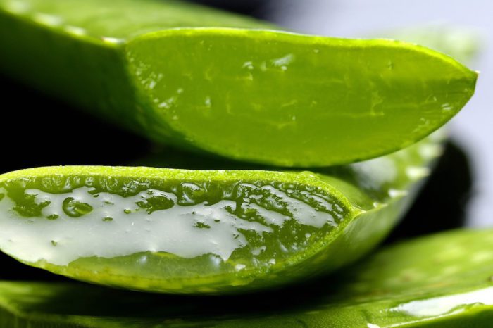 10 Cara Mengobati Lidah Melepuh