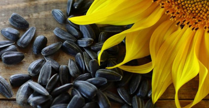 5 Jenis Biji-Bijian Sehat Yang Perlu Anda Konsumsi - DokterSehat