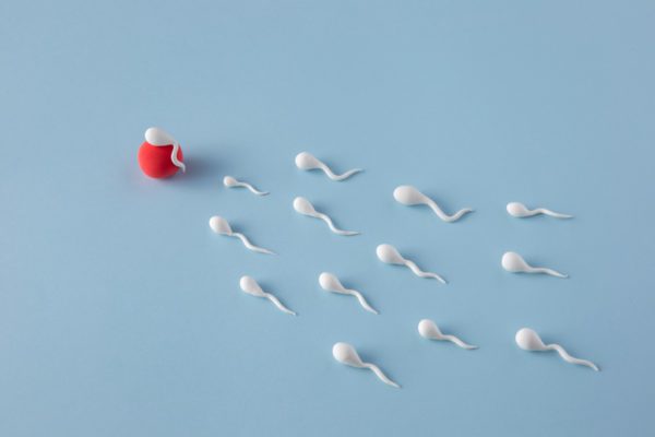 11 Fakta Sperma yang Penting Diketahui oleh Pria dan Wanita