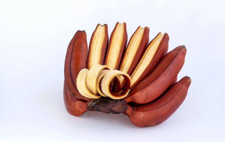 14 Manfaat Pisang Merah dan Kandungan Nutrisinya (Lengkap)