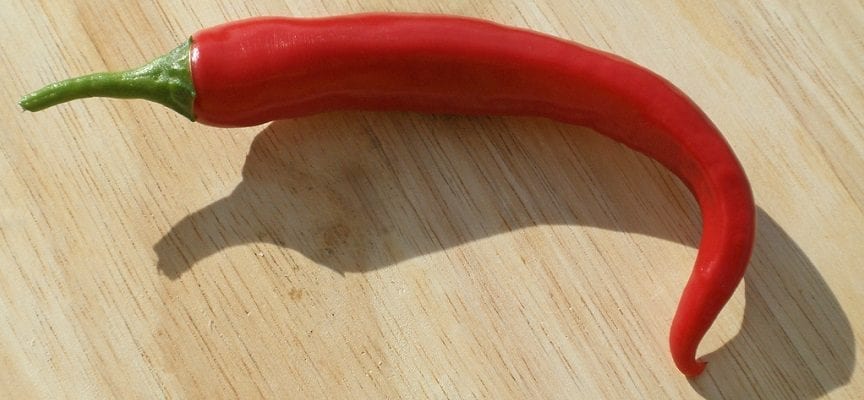 Benarkah Cabai Bisa Membuat Lesung Pipit di Wajah Bayi? - DokterSehat Benarkah Cabai Bisa Membuat Lesung Pipit di Wajah Bayi? - DokterSehat