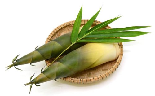 10 Manfaat Rebung bagi Kesehatan Tubuh (Wajib Tahu)