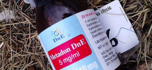 Metadon: Manfaat, Dosis, dan Efek Samping - DokterSehat