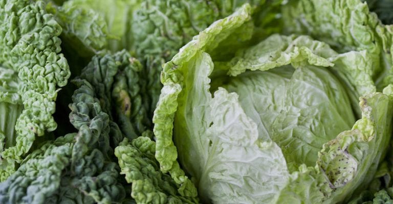 Manfaat Hebat dari Sayur Pahit