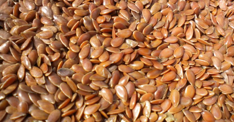 Biji Rami, Makanan Sehat Untuk Menurunkan Tekanan Darah - DokterSehat