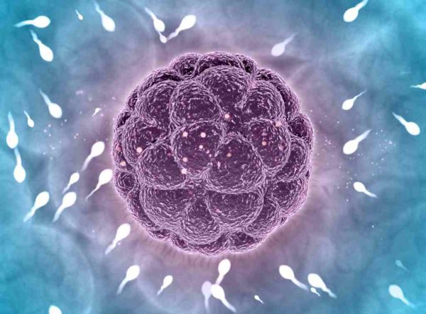 Pengaruh Motilitas Sperma pada Kesuburan Pria - DokterSehat