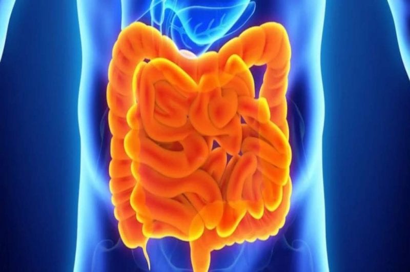 Peritonitis: Penyebab, Gejala, Diagnosis, Pengobatan, dll