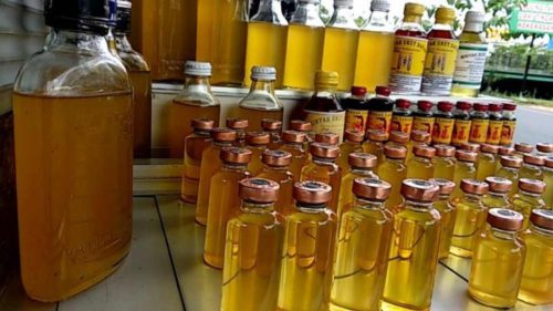 8 Manfaat Minyak Bulus untuk Wanita dan Pria