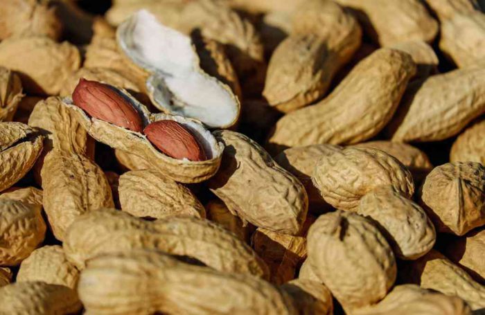 Sehat 11 Manfaat Kacang Tanah