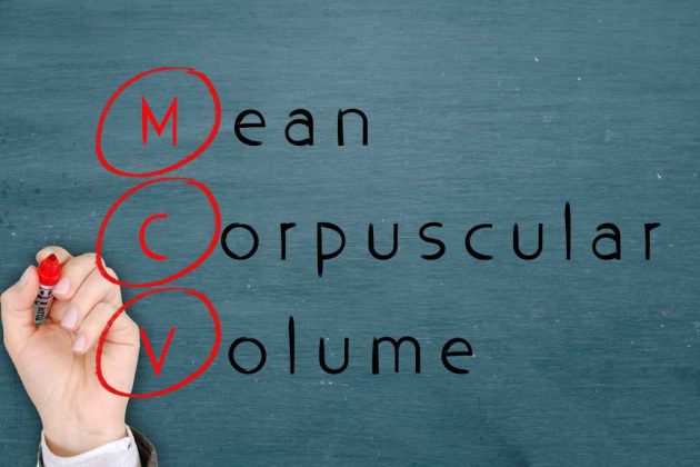 MCV: Pengertian, Nilai Normal, Kondisi Abnormal