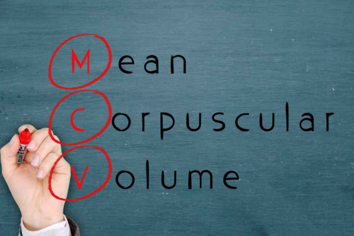 MCV: Pengertian, Nilai Normal, Kondisi Abnormal