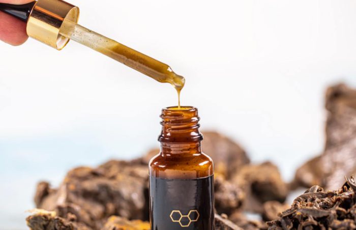 11 Manfaat Propolis untuk Kesehatan dan Efek Sampingnya - DokterSehat