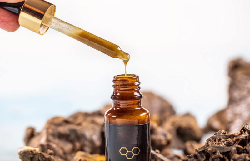 11 Manfaat Propolis untuk Kesehatan dan Efek Sampingnya - DokterSehat