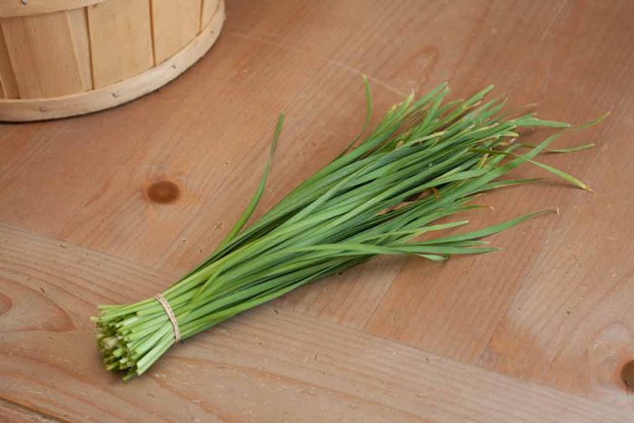 14 Manfaat Daun Kucai untuk Kesehatan yang Jarang Disadari