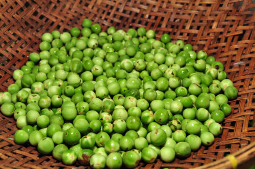 10 Manfaat Leunca bagi Tubuh (No. 6 Mengejutkan)