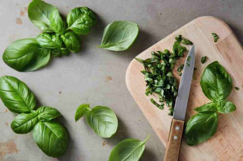 Daun Basil: Kandungan Nutrisi, Manfaat, Efek Samping, dll