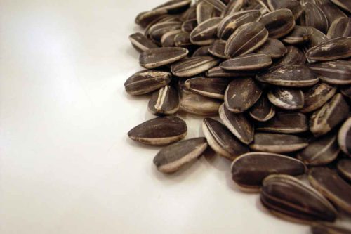 7 Makanan Sumber Kafein Selain Kopi