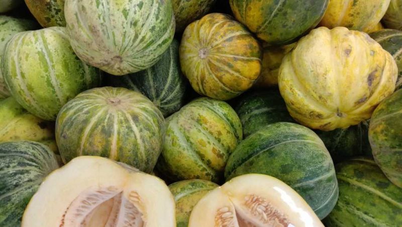 11 Manfaat Blewah untuk Kesehatan (No. 6 & 7 Terbaik) - DokterSehat