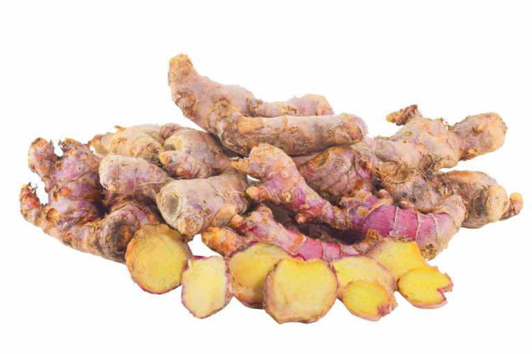 11 Manfaat Jahe Merah dan Kandungannya, Terbukti Berkhasiat!