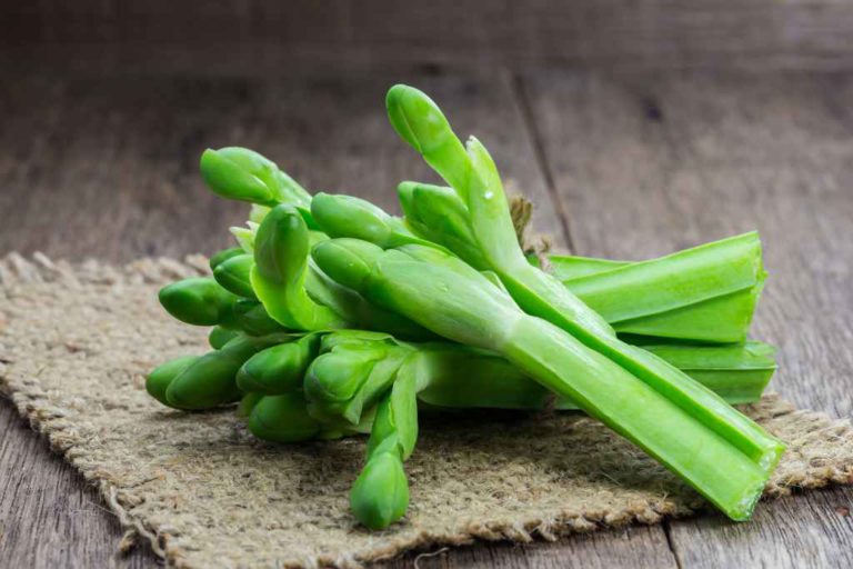 7 Manfaat Genjer, Kandungan, Cara Memasak, dll - DokterSehat