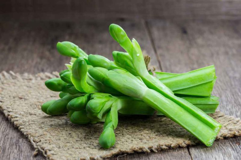 7 Manfaat Genjer, Kandungan, Cara Memasak, dll - DokterSehat