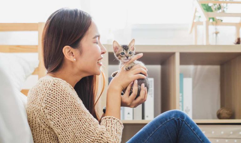 12 Manfaat Memelihara Kucing untuk Kesehatan (Fisik dan Mental)