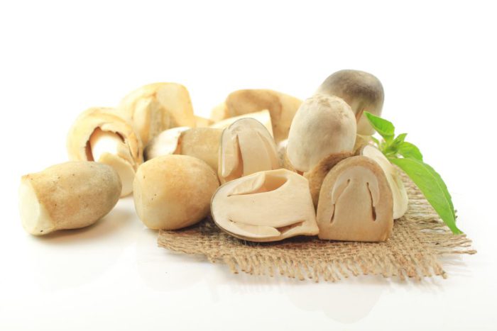 10 Manfaat Jamur Merang, Kandungan, dan Cara Mengolah - DokterSehat