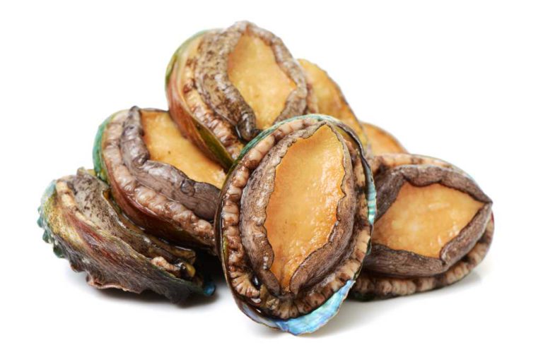 Abalone: 12 Manfaat untuk Kesehatan dan Cara Mengolahnya