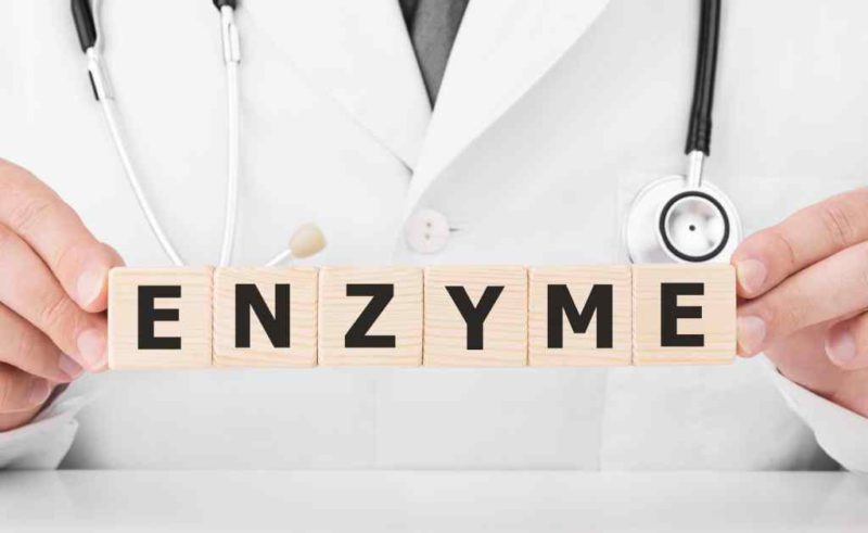 Mengenal Enzim Katalase dan Manfaatnya bagi Kesehatan - DokterSehat