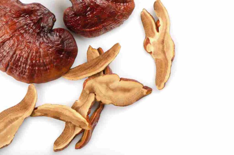 8 Manfaat Jamur Ganoderma bagi Kesehatan (Disertai Efek Samping)